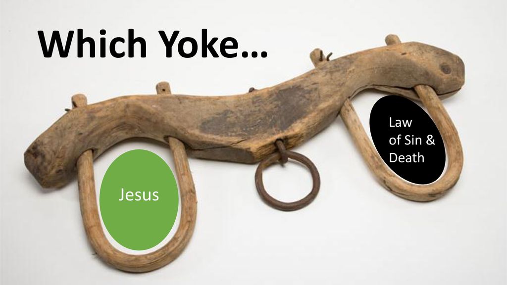 REFLECTION/HOMILY FOR THURSDAY OF THE 15TH WEEK IN ORDINARY TIME, YEAR ...