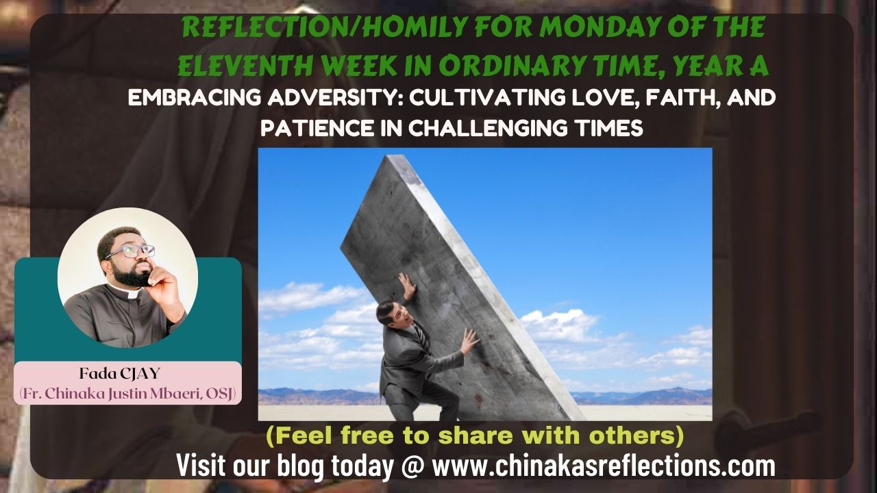 REFLECTION/HOMILY FOR MONDAY OF THE ELEVENTH WEEK IN ORDINARY TIME - Fr ...