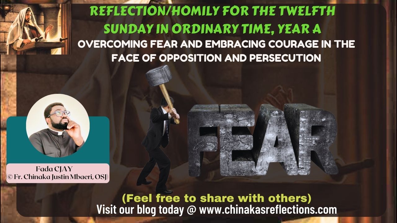 REFLECTION/HOMILY FOR THE TWELFTH SUNDAY IN ORDINARY TIME, YEAR A - Fr ...