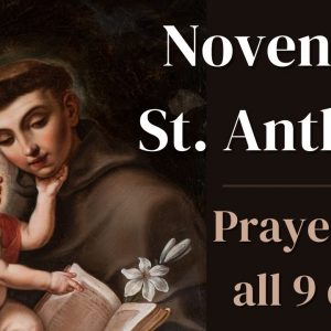Saint anthony of padua - Fr. Chinaka's Media